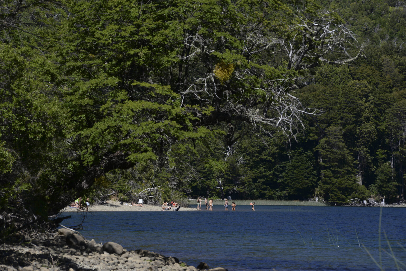 Las mejores playas de Bariloche - LA GUÍA DEFINITIVA - Descubrir Patagonia